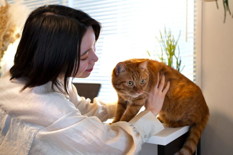 Why Do Cats Knead? The Science Behind This Adorable Behavior - Avanti ...