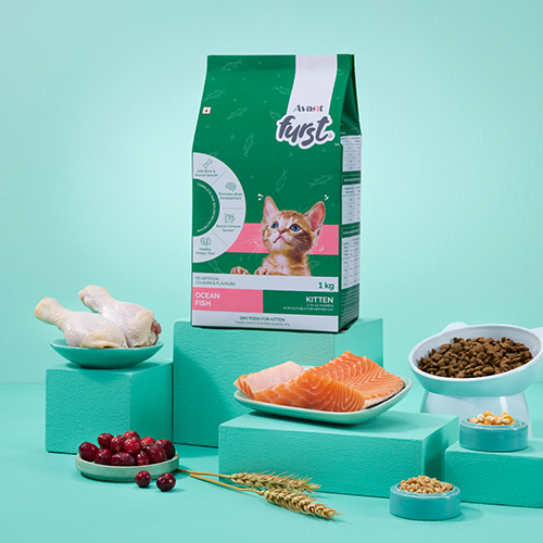 Ocean Fish - Kitten Food - Avanti Petcare